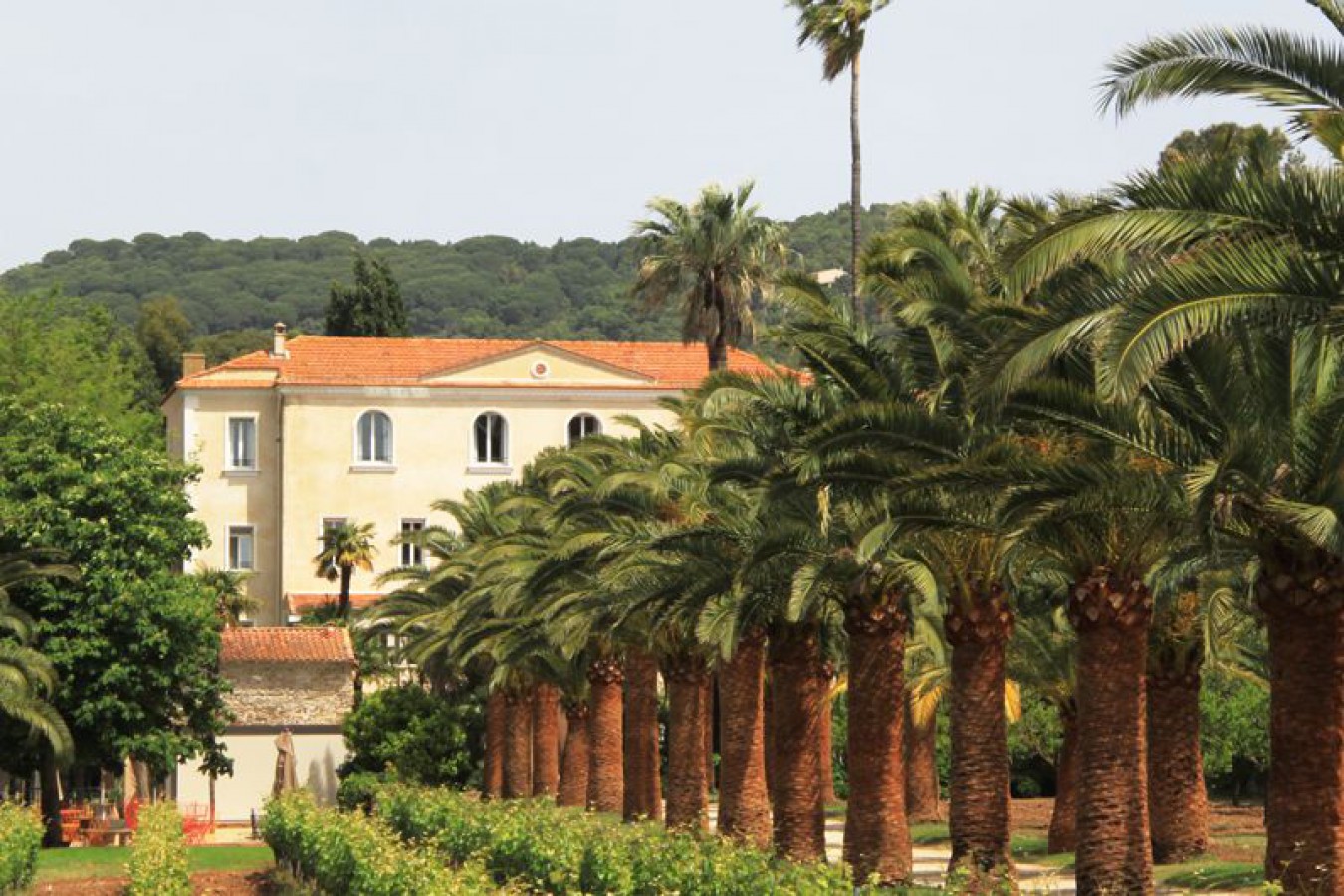 Holiday in La Croix-Valmer and Cavalaire-sur-Mer